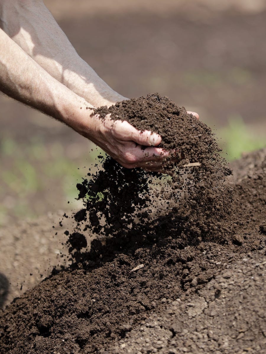 A Step-by-Step Guide for Compost Making on Dairy Farm