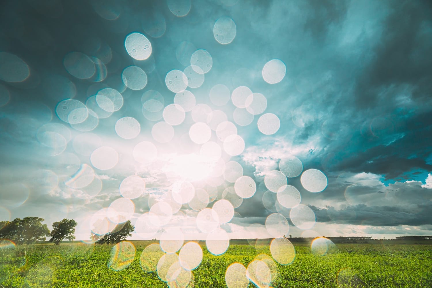 How to graze when soils are saturated