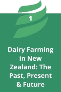 New Zealand Dairy Industry