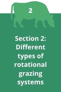 Everything you need to know about grazing systems