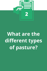 Pasture Management
